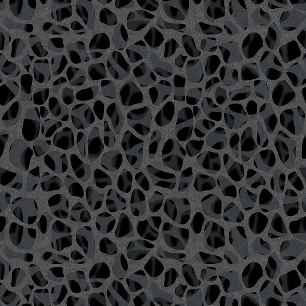 Parazoa Mural | Astek