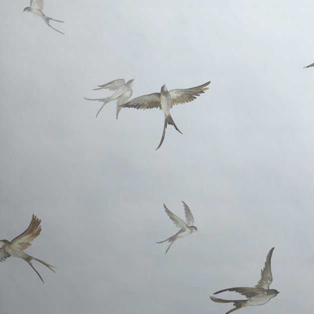 Swallows - Cool Grey Wallcovering | Astek